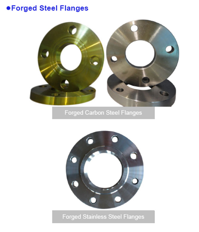 Forged Steel Flanges - Huazeen